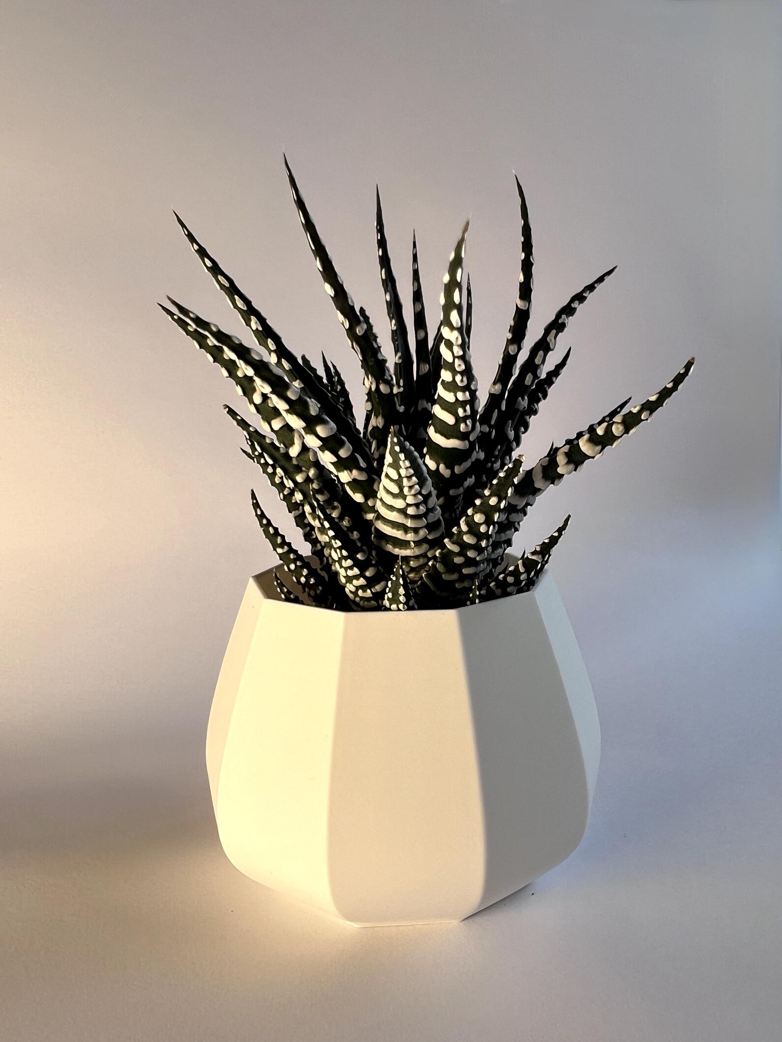 3D Printed Mini Planter: Modern Polygon Plant Pot - Eco-friendly PLA - Etsy
