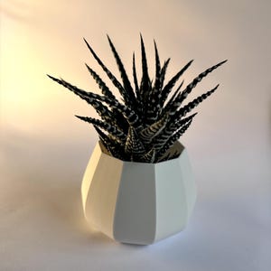 3D Printed Mini Planter: Modern Polygon Plant Pot - Eco-friendly PLA - Etsy