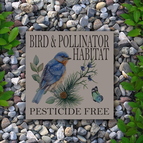 Free Bird Sign - Etsy