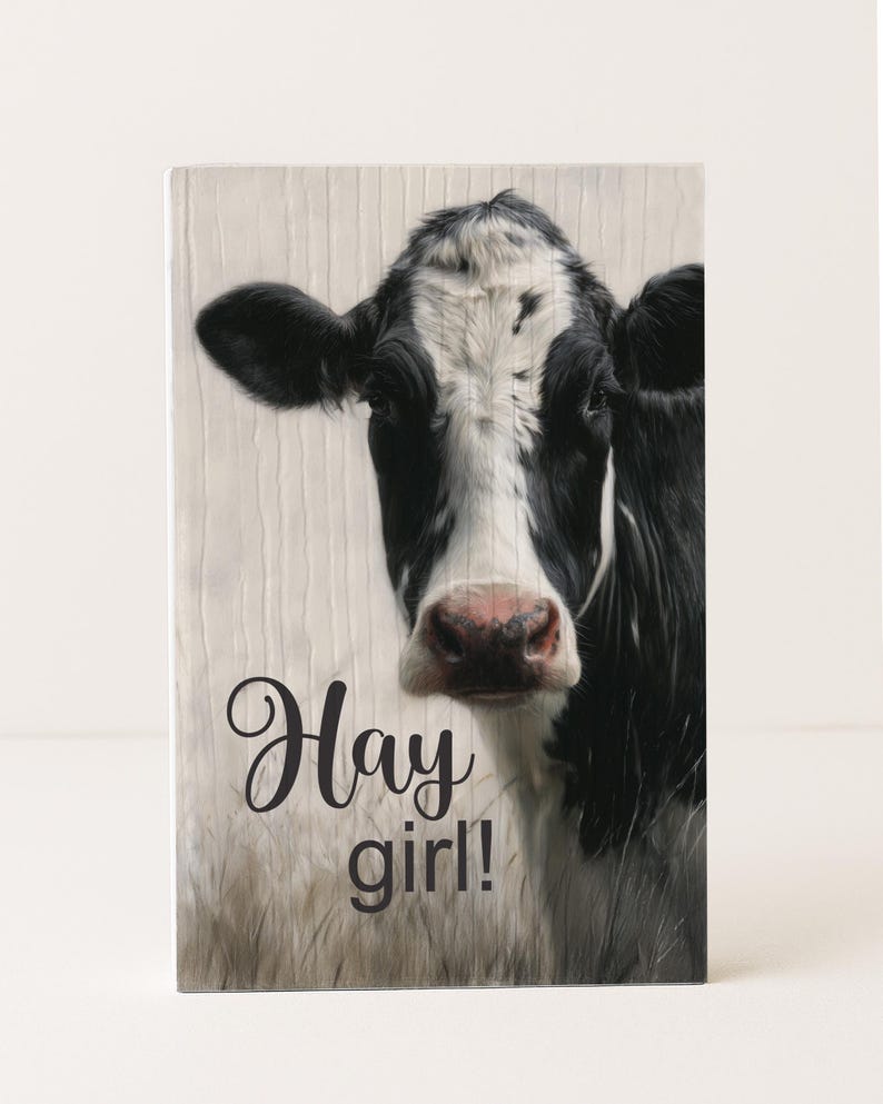 Funny Cow Pun Block Sign, Farmhouse Desk Decor, Rustic Cow Gift - Etsy