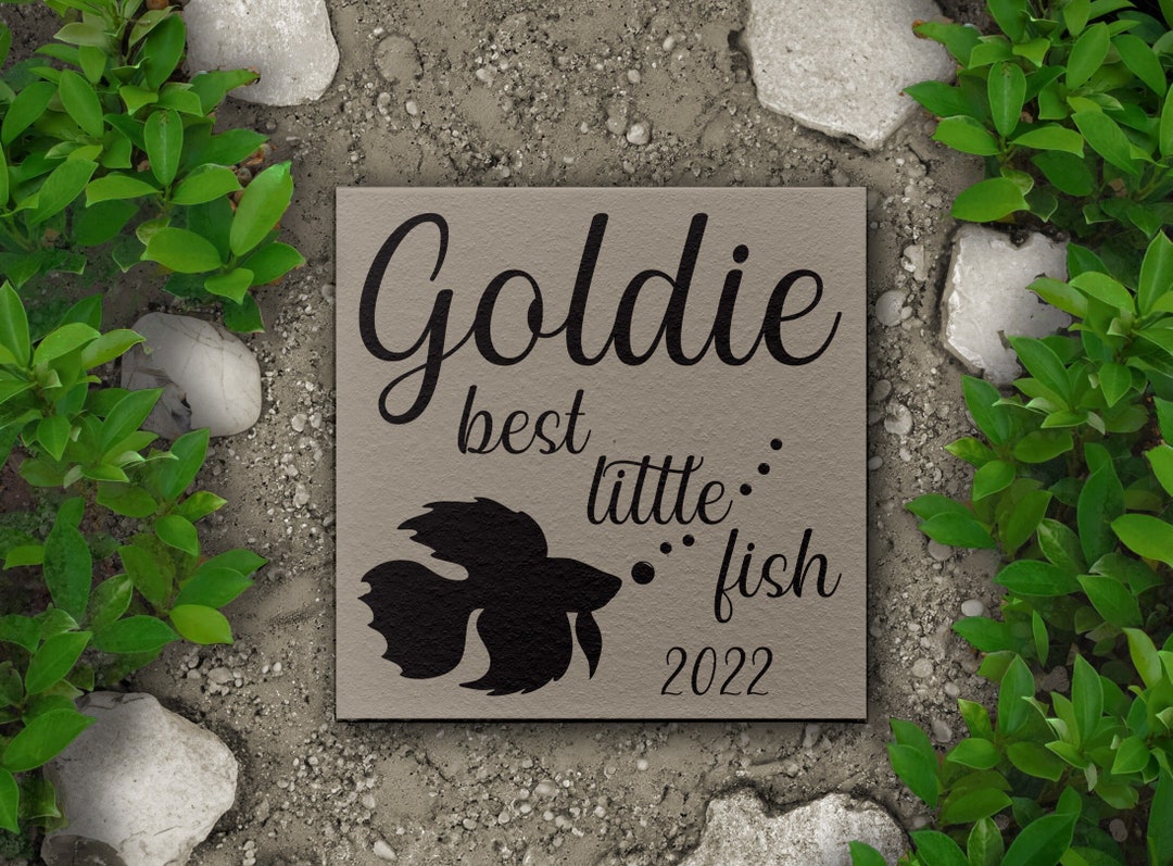Betta Fish Memorial Stone Betta Memorial Personalized Loss of Pet Fish ...