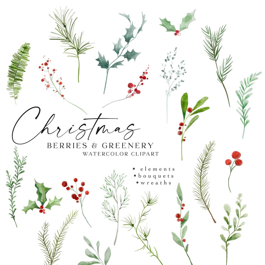 Rustico Christmas Berries Clipart, Watercolor Winter Botanical Pine ...
