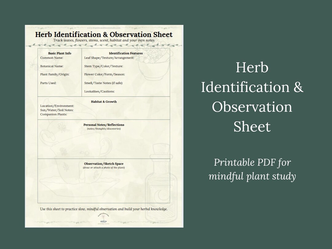 Herb Identification & Observation Sheet | Printable PDF for Herbal ...