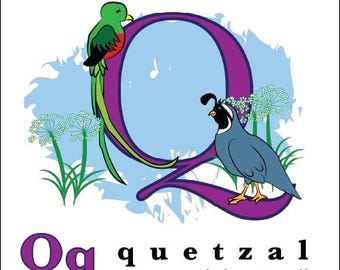 Letter Q Practice Games and Activity Pack - Etsy