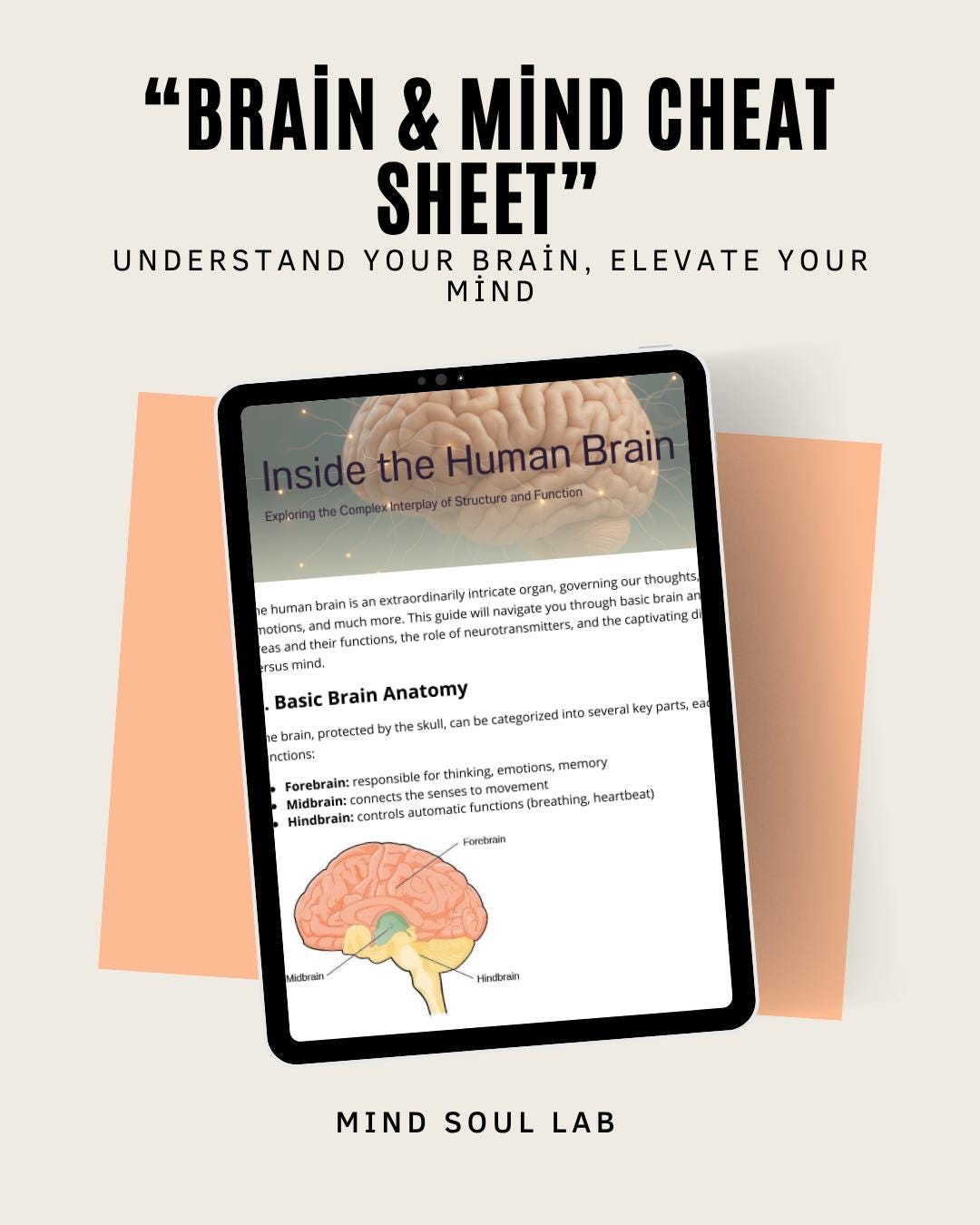 Brain & Mind Cheat Sheet Digital Neuroscience Guide Understand Brain ...