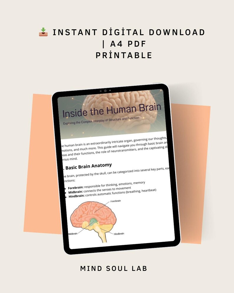 Brain & Mind Cheat Sheet Digital Neuroscience Guide Understand Brain ...