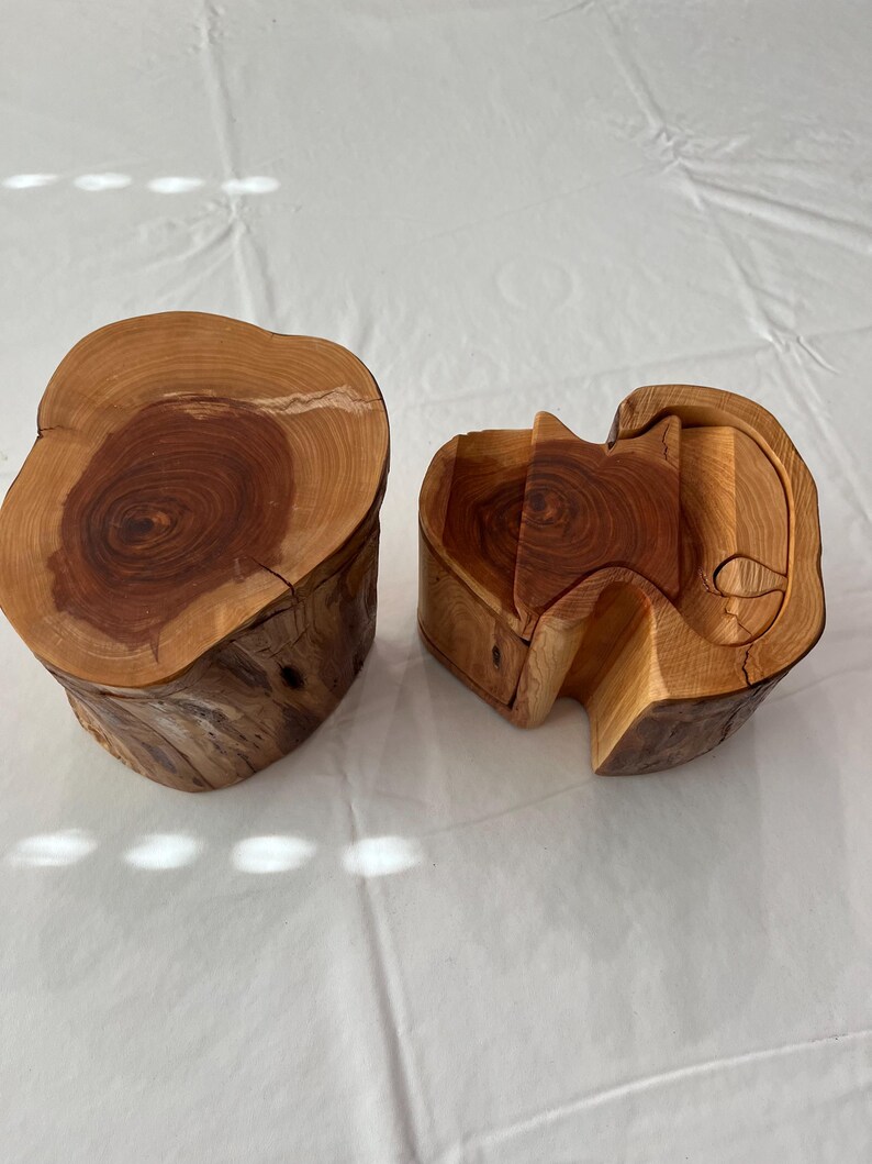 Handcrafted 6 Piece Shagbark Juniper Wood Log Puzzle Box With Secret ...