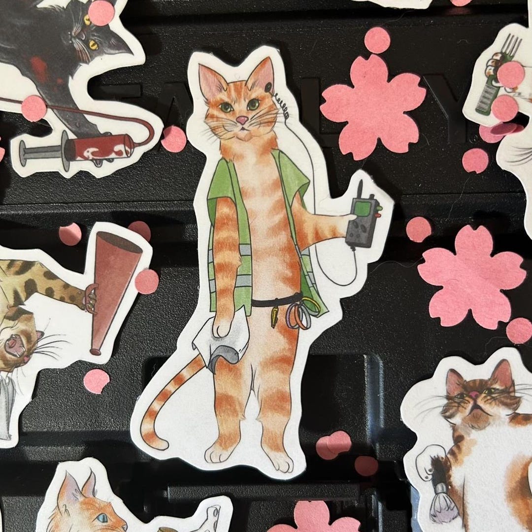 STICKER Kitten Filming Production Department - Etsy