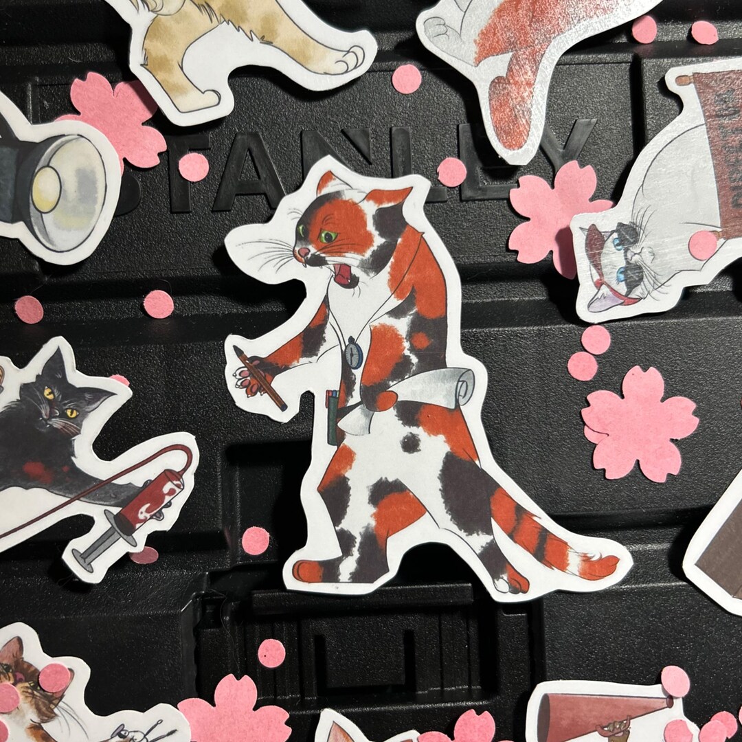 STICKER Kitten Filming Script - Etsy