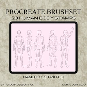 Procreate Body Poses Stamps | Human Anatomy Reference Brushes ...