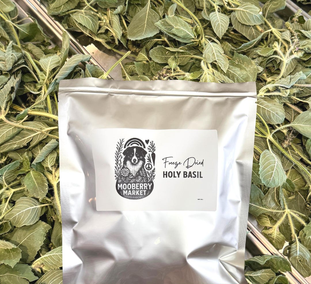 Freeze Dried Holy Basil Tulsi – Gallon Bag Tulsi Tea, Herbal Tea ...