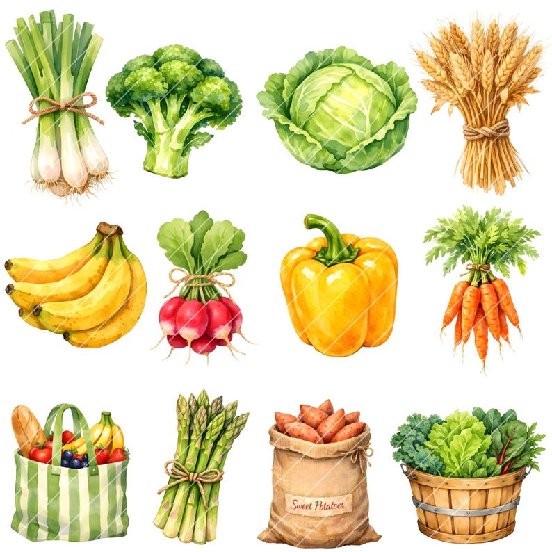 Farmers Market Clipart Bundle, Farm Fresh Produce Watercolor PNG, Food ...