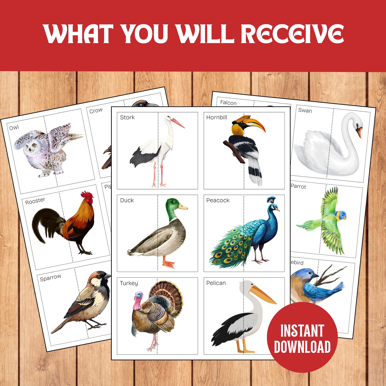 Birds Matching Game: Montessori Puzzle, Beak & Tail (PDF Download) - Etsy