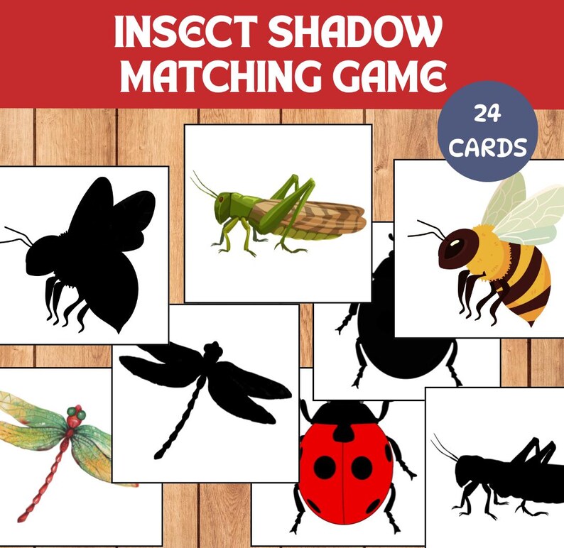 Insect Shadow Matching Game: Bug Puzzle, Preschool Activity (PDF & JPG ...