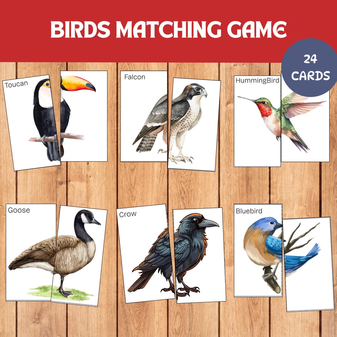 Birds Matching Game: Montessori Puzzle, Beak & Tail (PDF Download) - Etsy