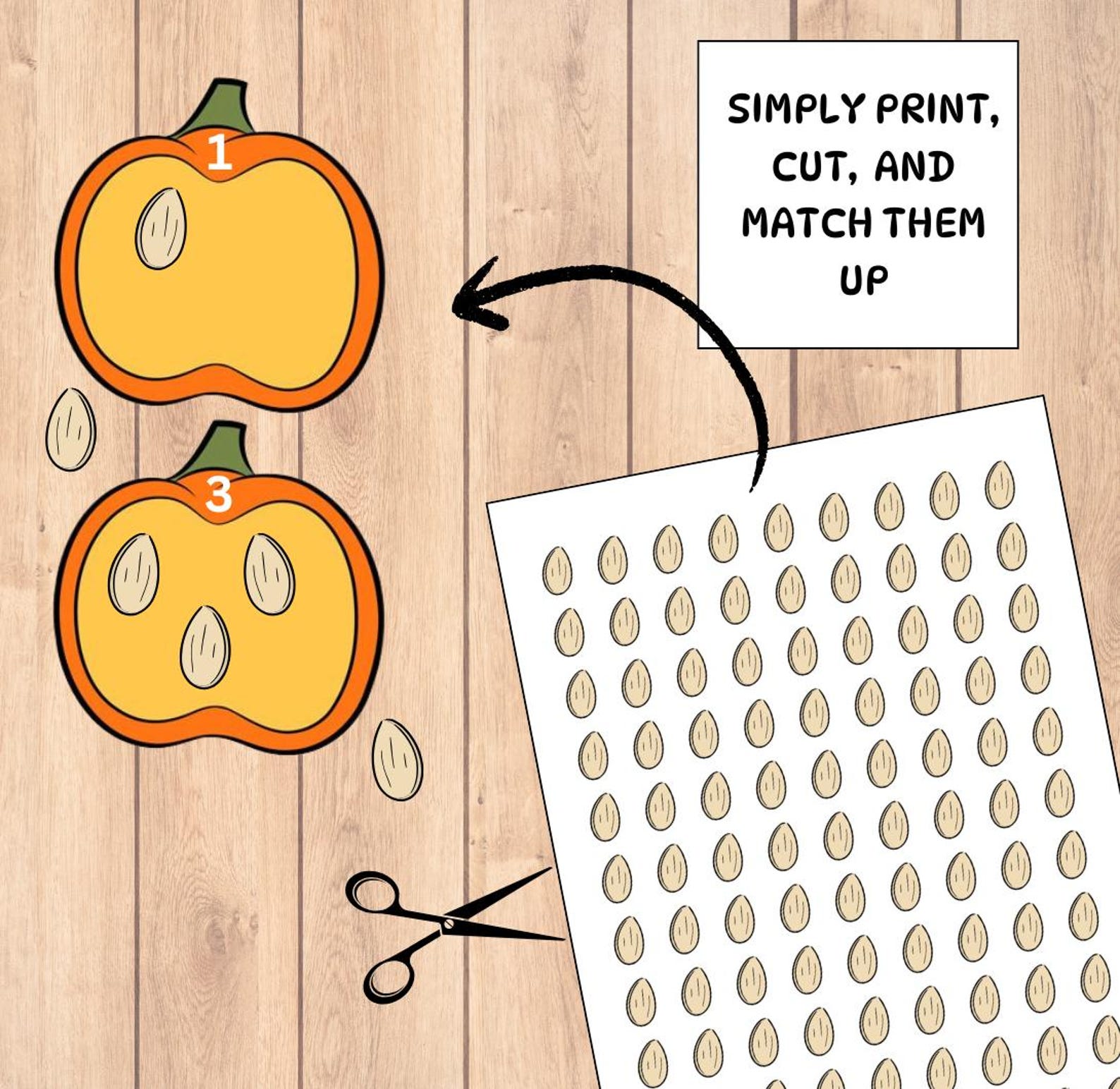 Pumpkin Seeds Counting Game: Montessori Numbers Learning (PDF & JPG) - Etsy