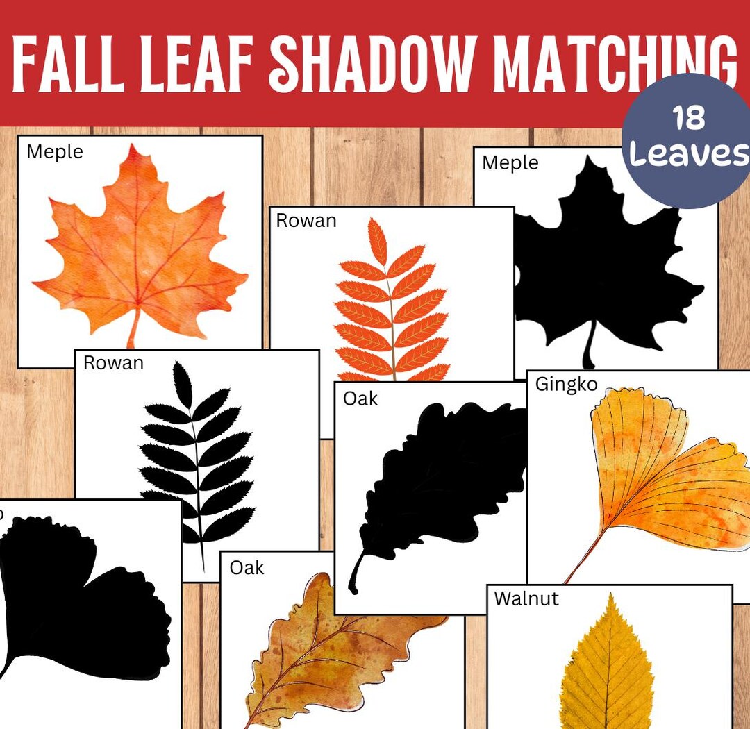 Fall Leaves Shadow Matching Game: Montessori Leaf Puzzle (PDF & JPG) - Etsy