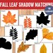 Fall Leaves Shadow Matching Game: Montessori Leaf Puzzle (PDF & JPG) - Etsy