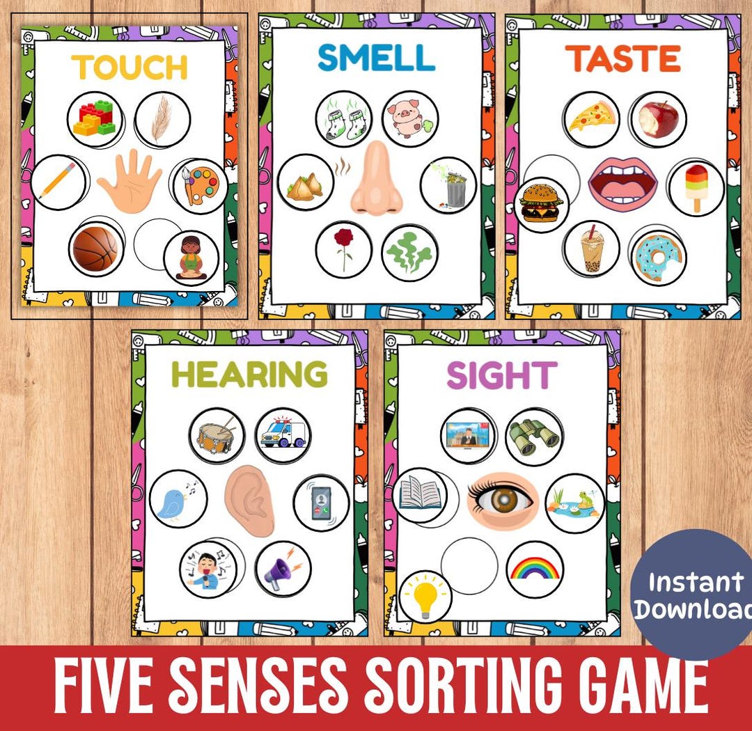 Five Senses Sorting Game: Montessori Toddler Matching Activity (PDF) - Etsy