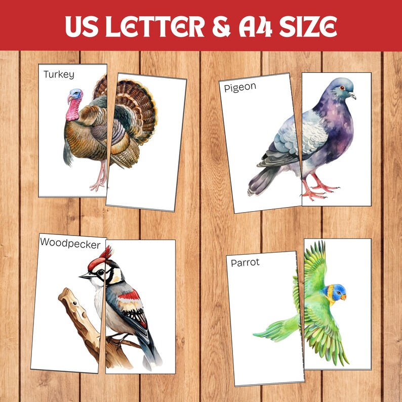 Birds Matching Game: Montessori Puzzle, Beak & Tail (PDF Download) - Etsy