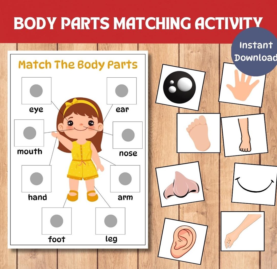 Body Parts Matching Game: Montessori Human Body Activity (PDF Download ...