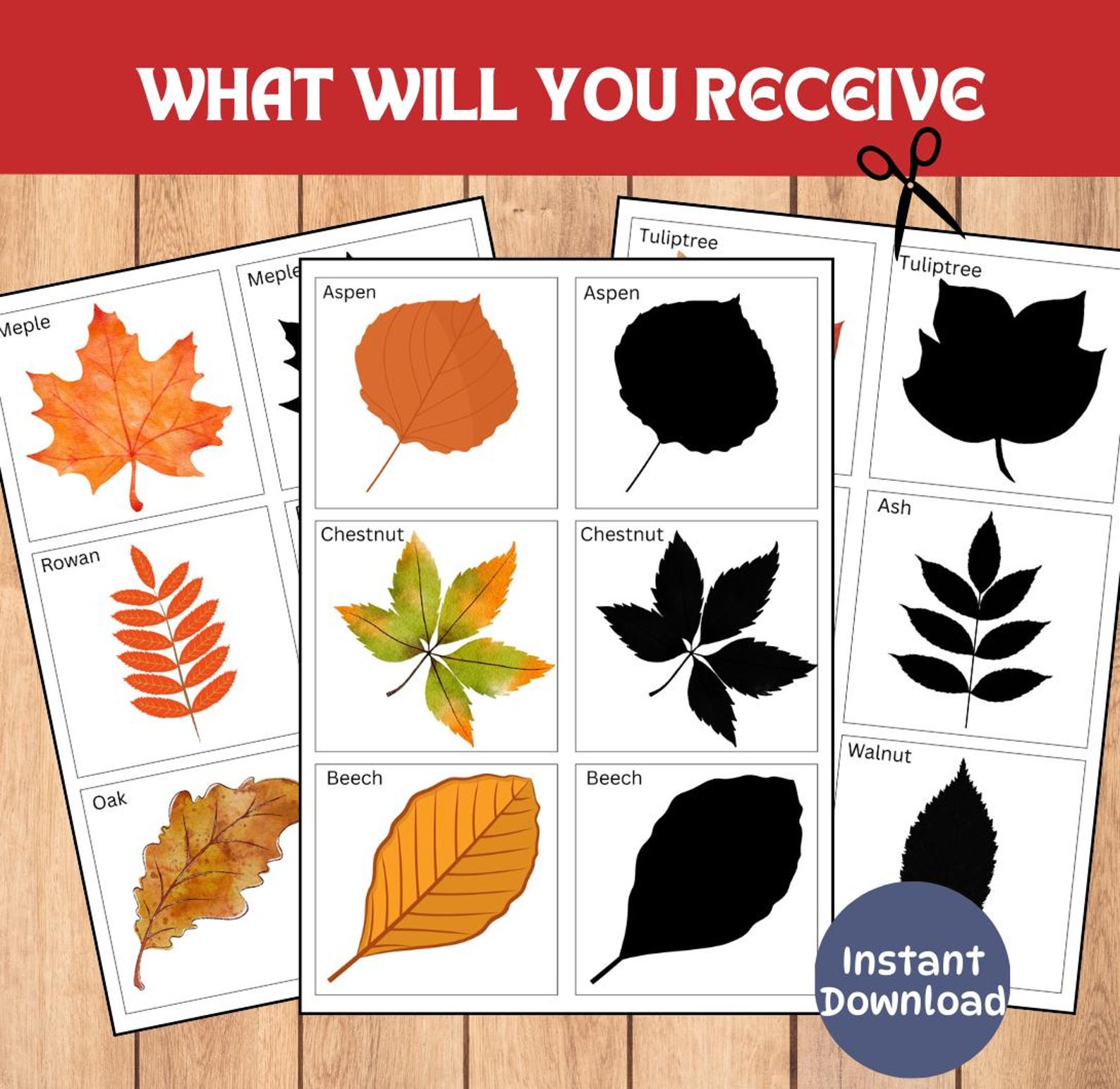 Fall Leaves Shadow Matching Game: Montessori Leaf Puzzle (PDF & JPG) - Etsy