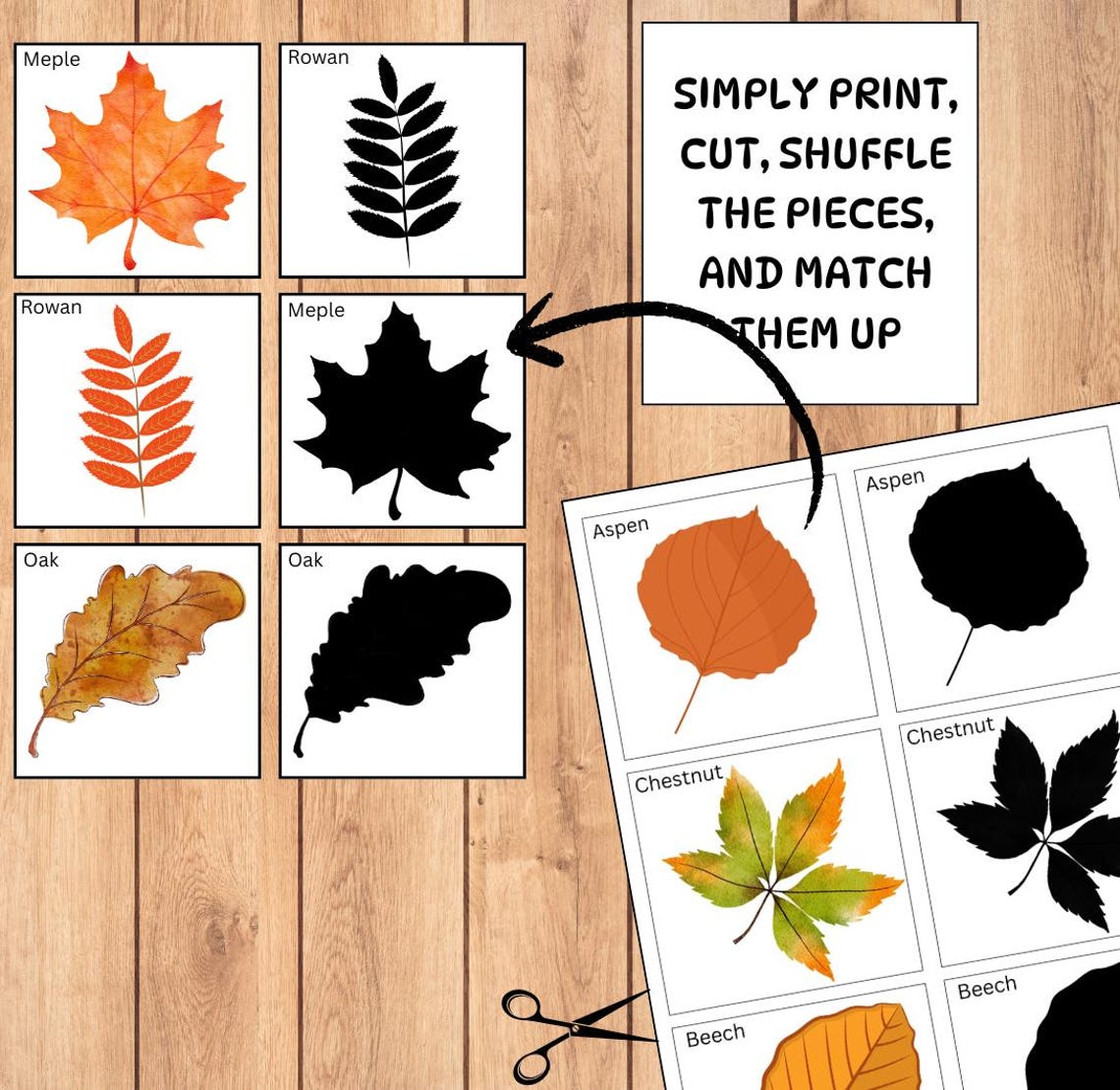 Fall Leaves Shadow Matching Game: Montessori Leaf Puzzle (PDF & JPG) - Etsy
