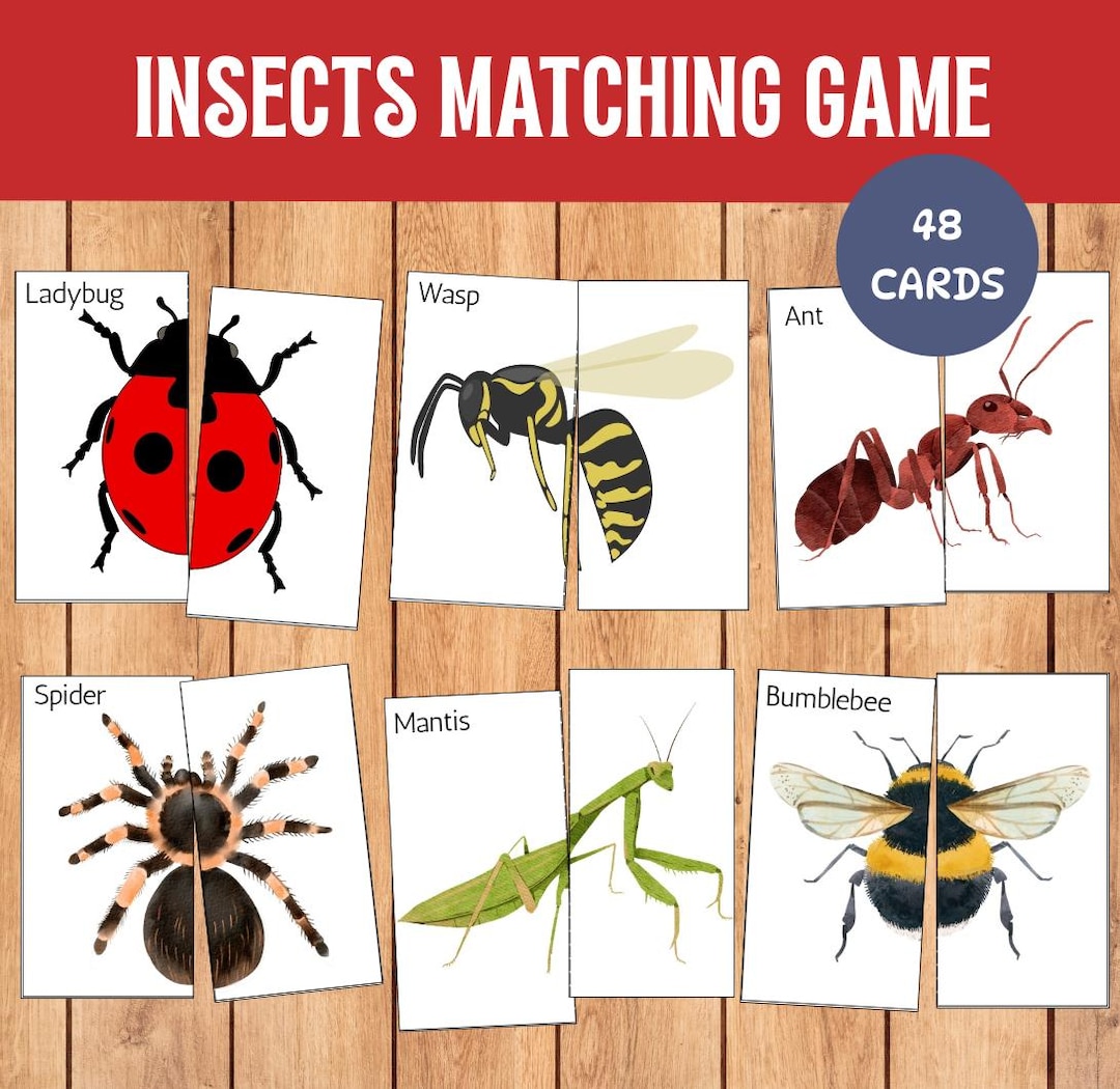 Insects Matching Game, Symmetry Puzzle, Toddler Matching Activity ...