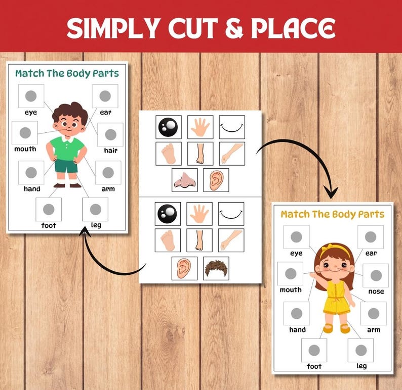 Body Parts Matching Game: Montessori Human Body Activity (PDF Download ...