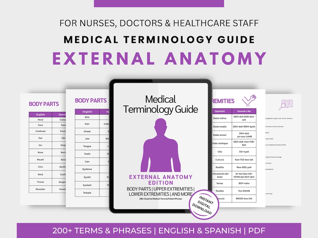 External Anatomy Medical Terminology Study Guide, 200+ English and ...