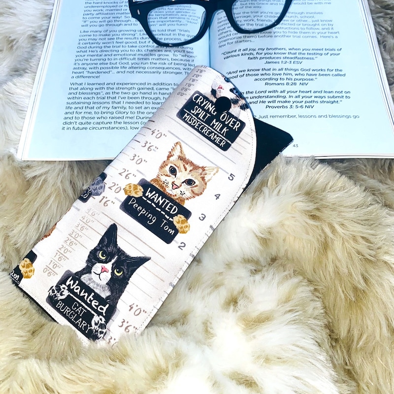 Cute Glasses Case - Etsy