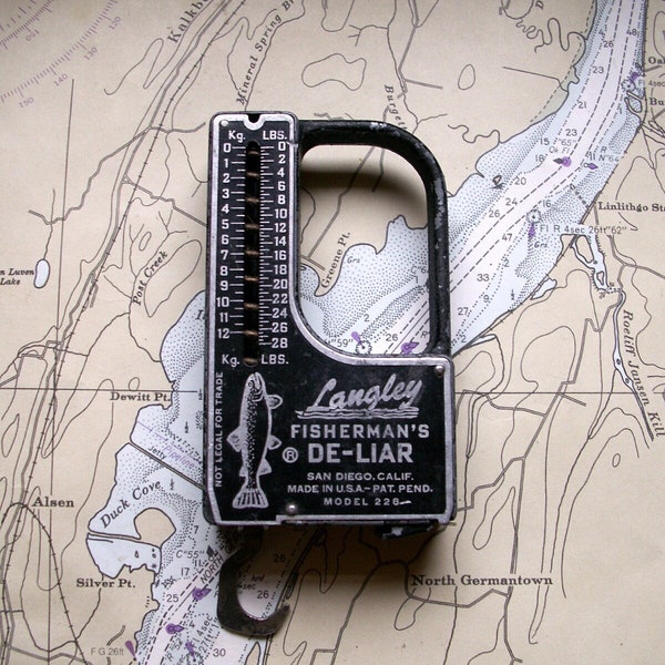 Vintage Fish Scale - Etsy