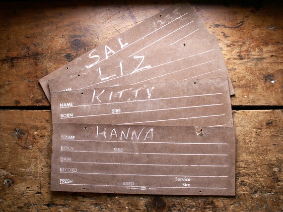 Vintage Cow Breeding Stall Signs Rustic Farmhouse Decor - Etsy