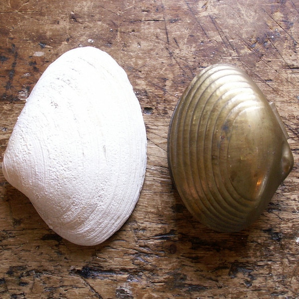 Brass Clam Shell Box - Etsy