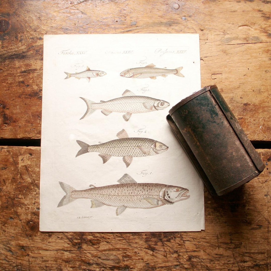 Vintage Waist Mount Bob-bet Bait Box - Minnow Carrier on a Belt - Worm ...