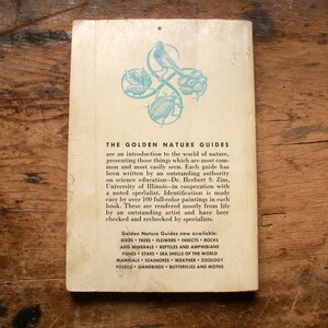 Vintage Golden Nature Guide Pocket Sized Book - American Birds ...