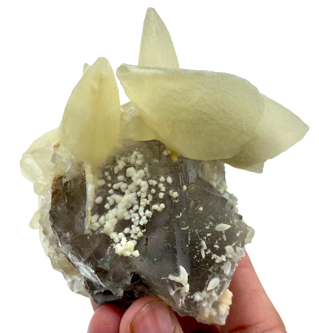 486 Gram Unique Shape Natural Dog Tooth CALCITE Cluster on FLUORITE ...