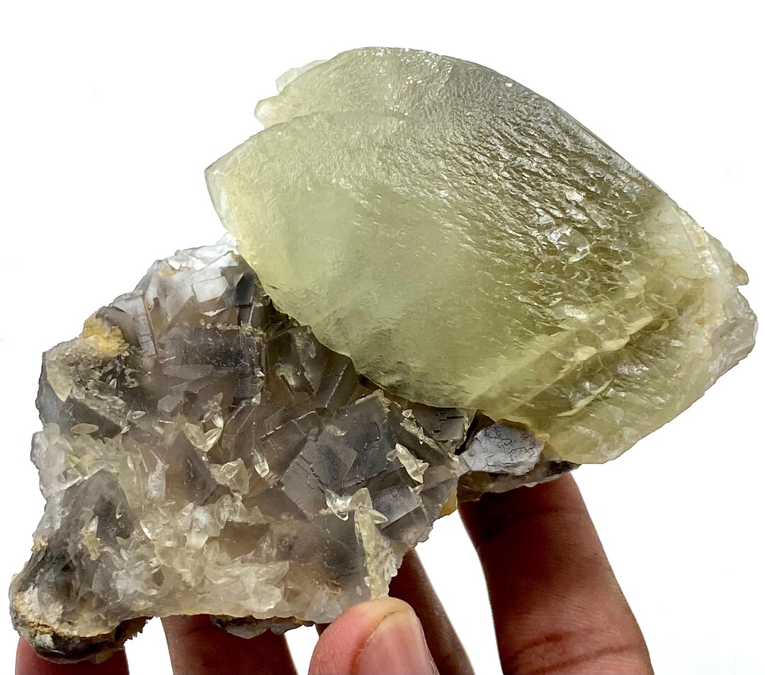 390 Gram Unique Natural Dog Tooth Calcite on Fluorite Specimen From ...
