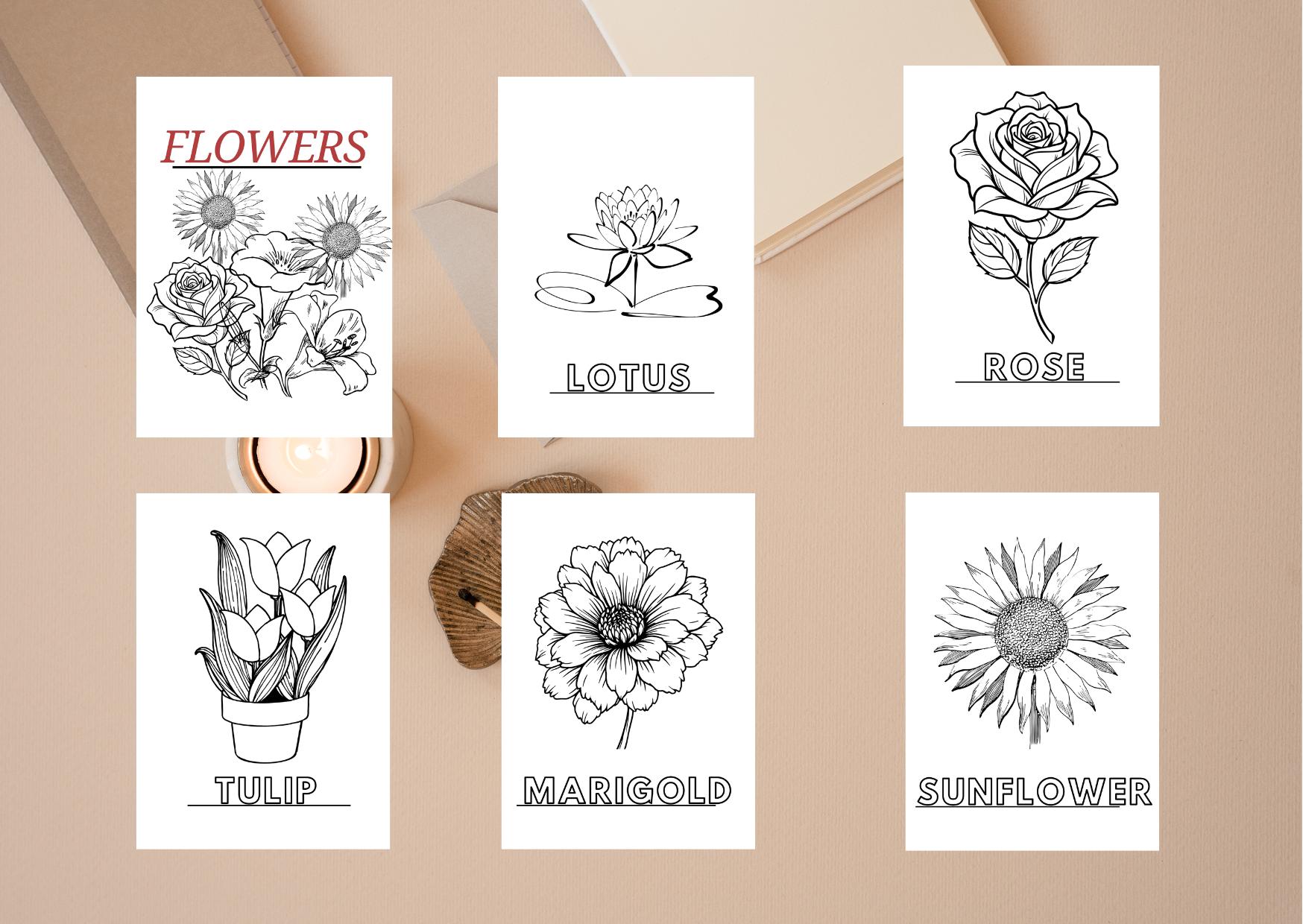 FRUITS, VEGITABLES and FLOWERS Coloring Book| 35 Printable Pages | Fun ...