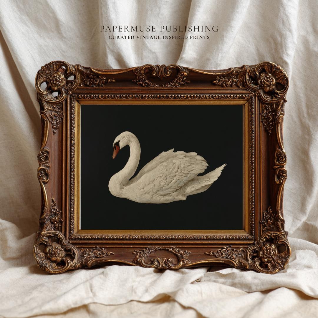 Vintage Swan Painting | Neutral Minimalist Wall Art | Modern Farmhouse ...