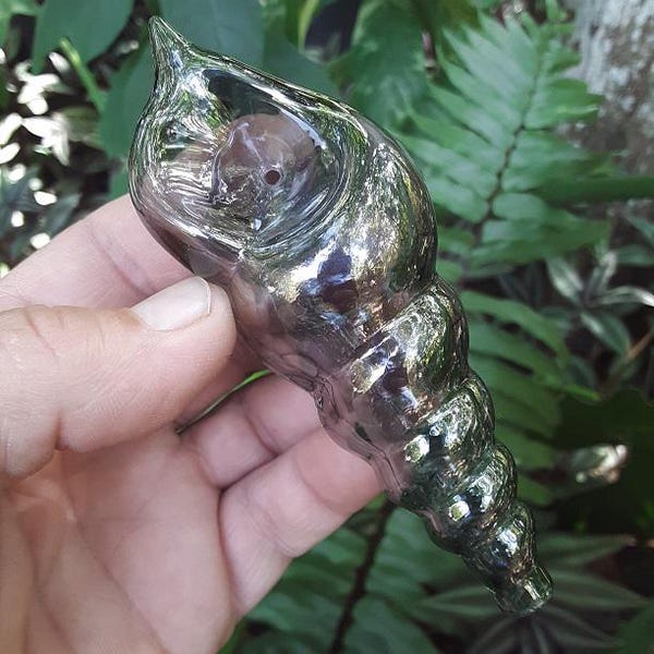 Shell Pipe - Etsy