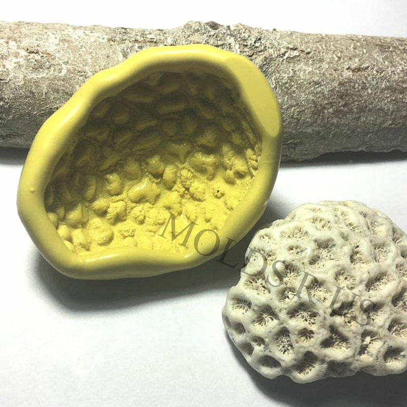 Coral Silicone Mold - Etsy