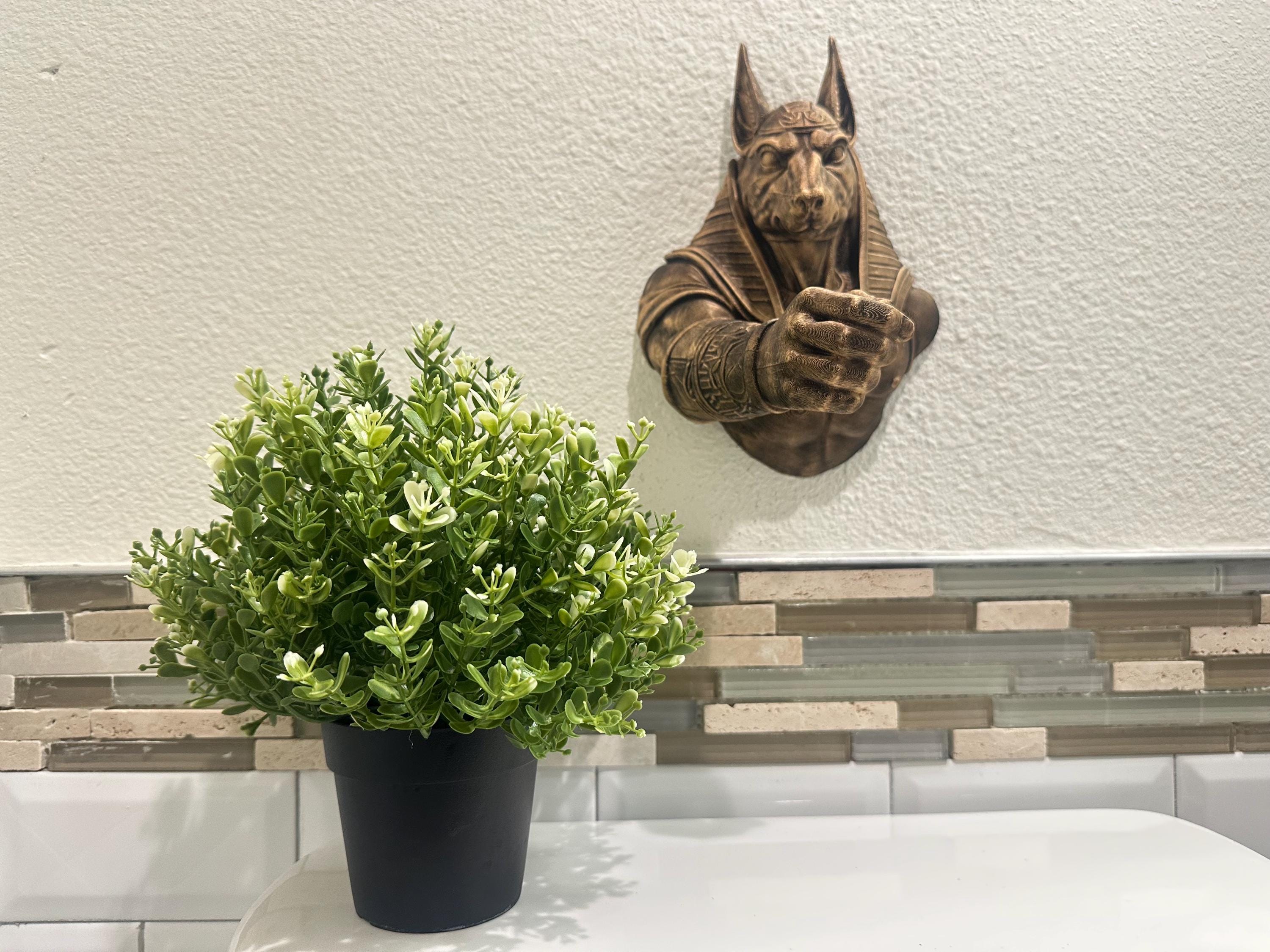 Hand Painted Anubis Wall Mount Sculpture - Egyptian God Mythology Wall ...