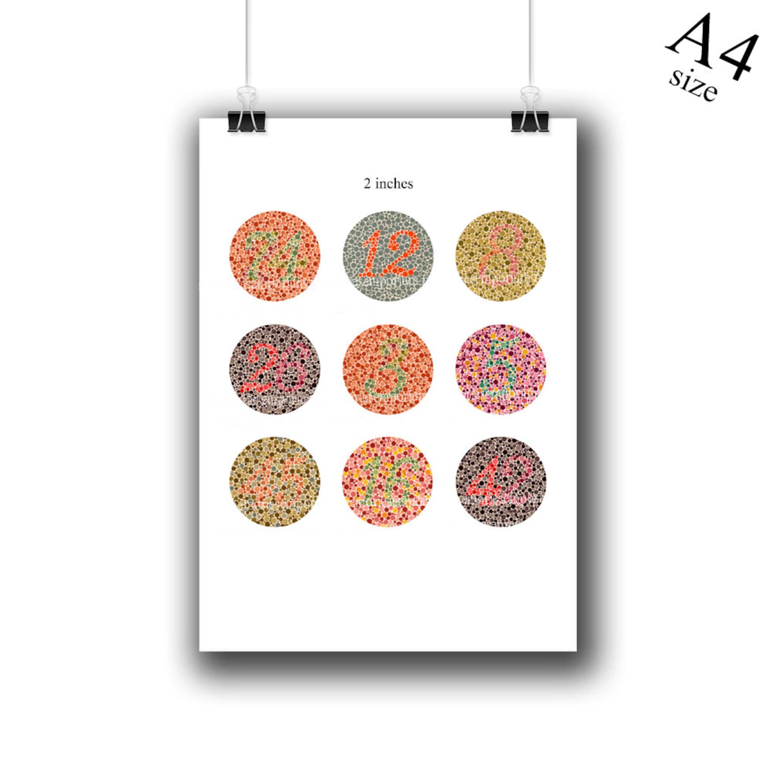 Eye Chart Color Blind Ishihara Test Circles Digital Download Printable ...