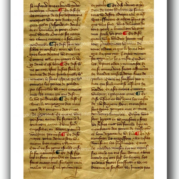 French Script Paper - Etsy