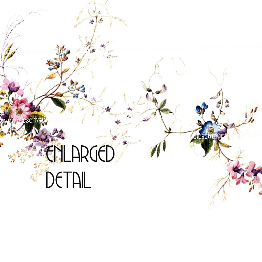 Floral Border Stationery Note Paper Weddings Engagements Invitations ...