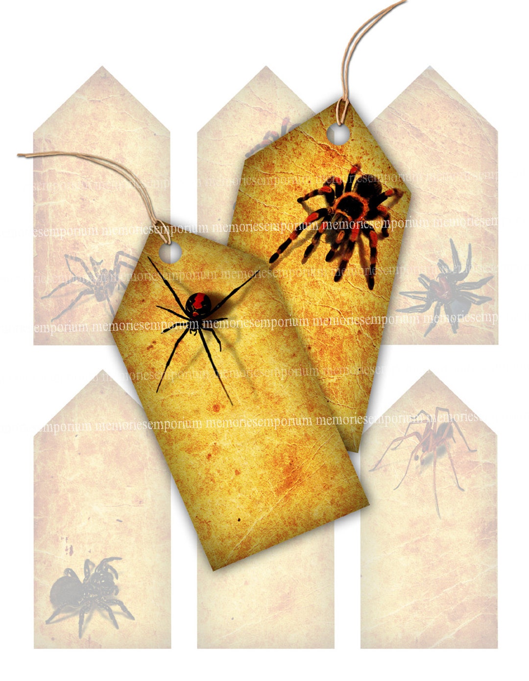 Spiders Halloween Printable Download DIY Gift Tags Cards Labels Digital ...