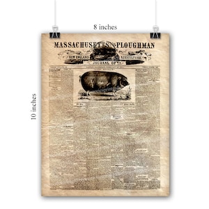 American Newspapers, Printable Paper Pack, 1800s Vintage US Old Antique ...