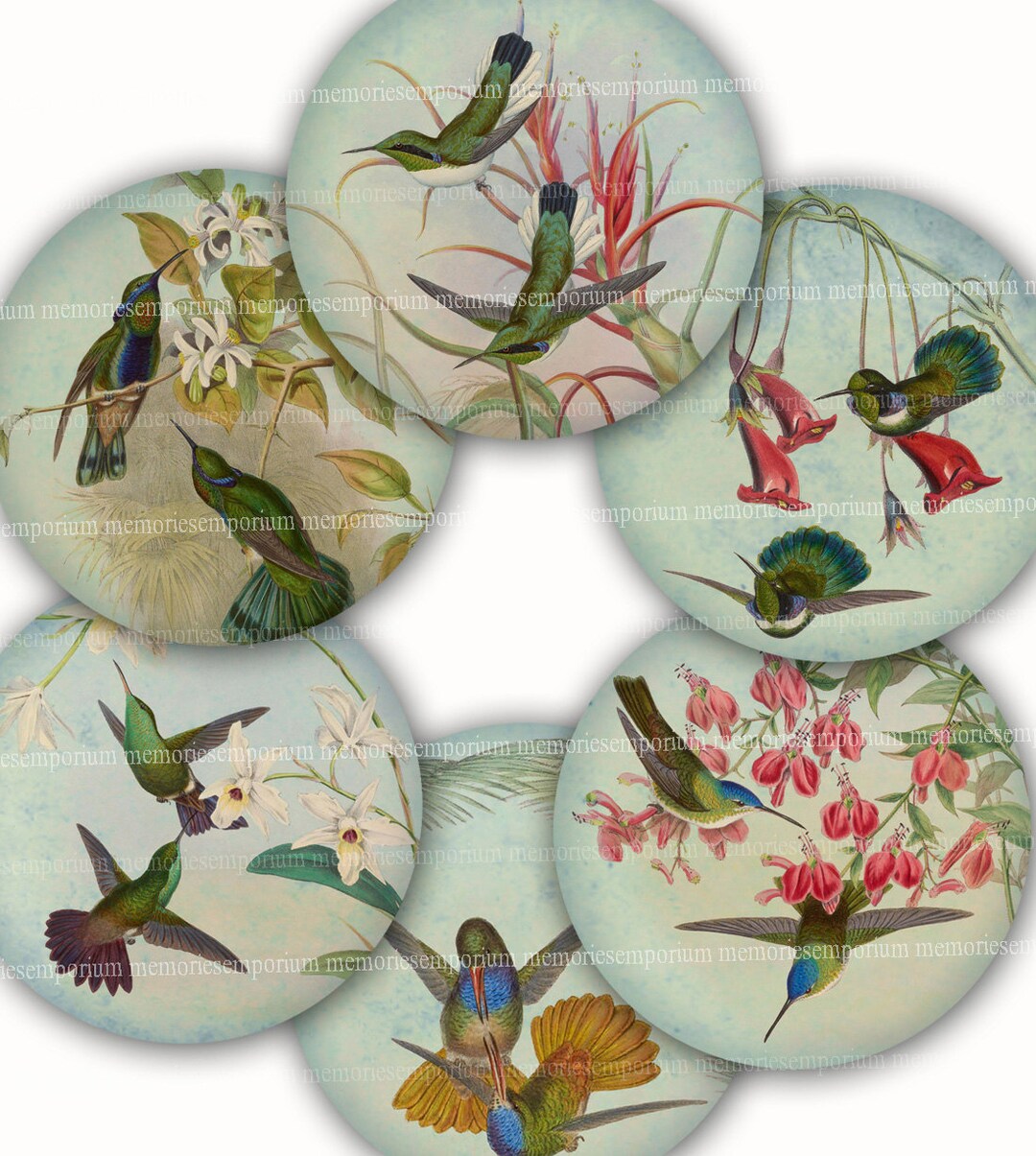 Hummingbirds Digital Collage Sheet Download Circles Antique Birds for ...