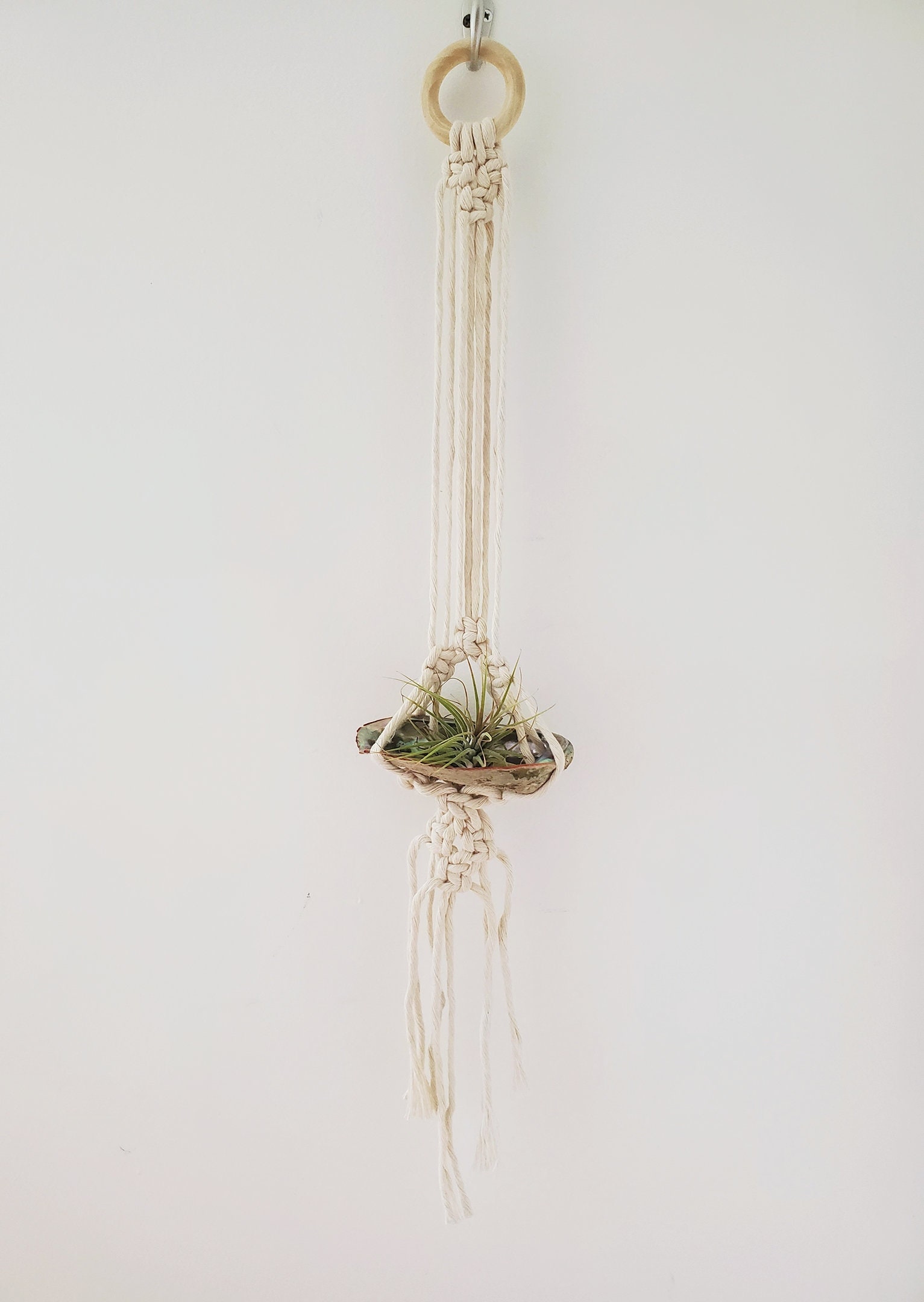 Eco-friendly Macrame Abalone Shell Airplant Hanger Made With - Etsy
